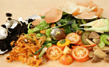 Lixo orgânico e inorgânico: diferenças e por que separar!